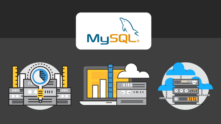 Back-end vs Front-end vs Full-Stack: qual é a melhor escolha?